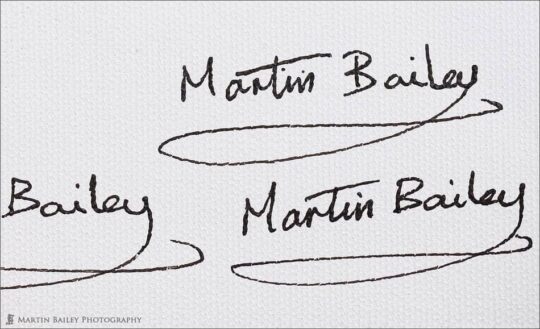 Podcast 266 : Signing Fine Art Prints and Canvases | Martin Bailey ...