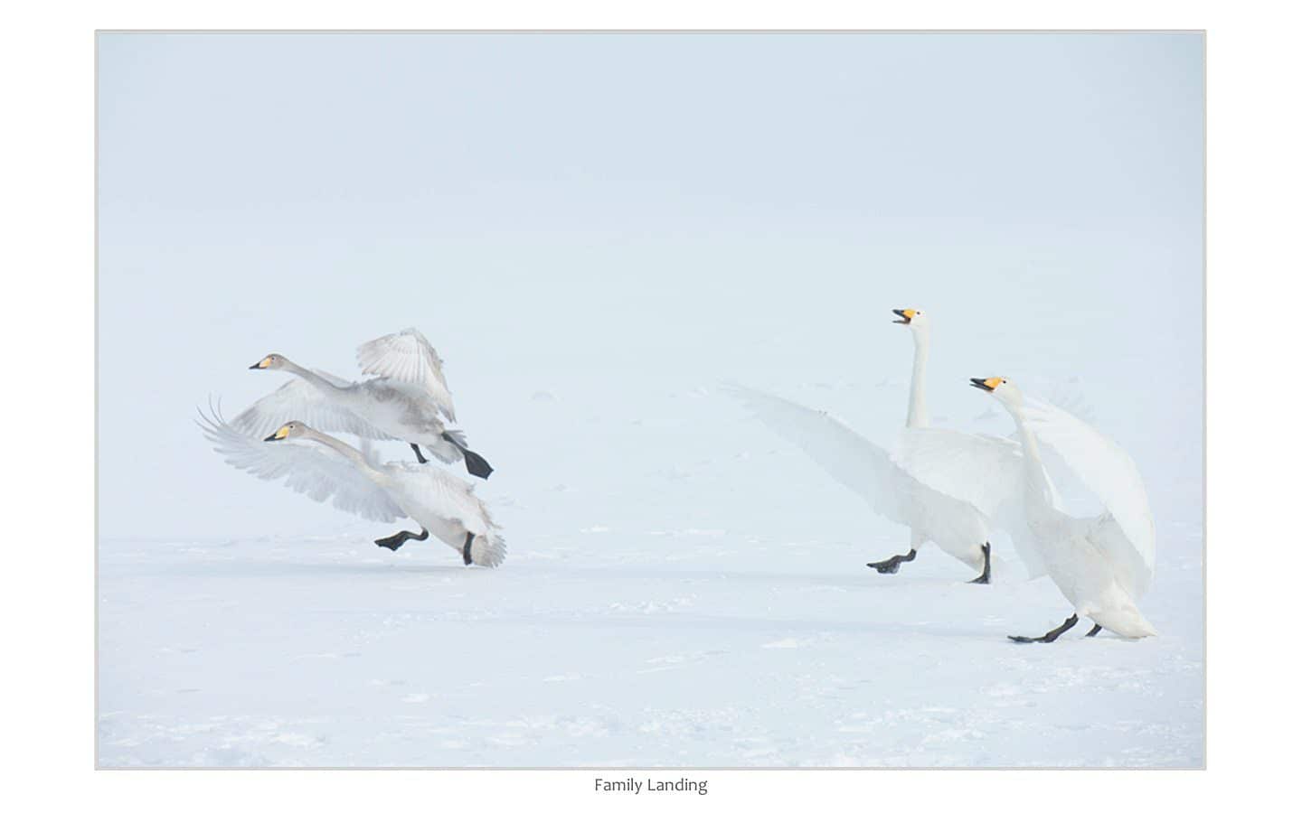 Martin Bailey Photography | “Fine Art Print” Lightroom Slideshow Template