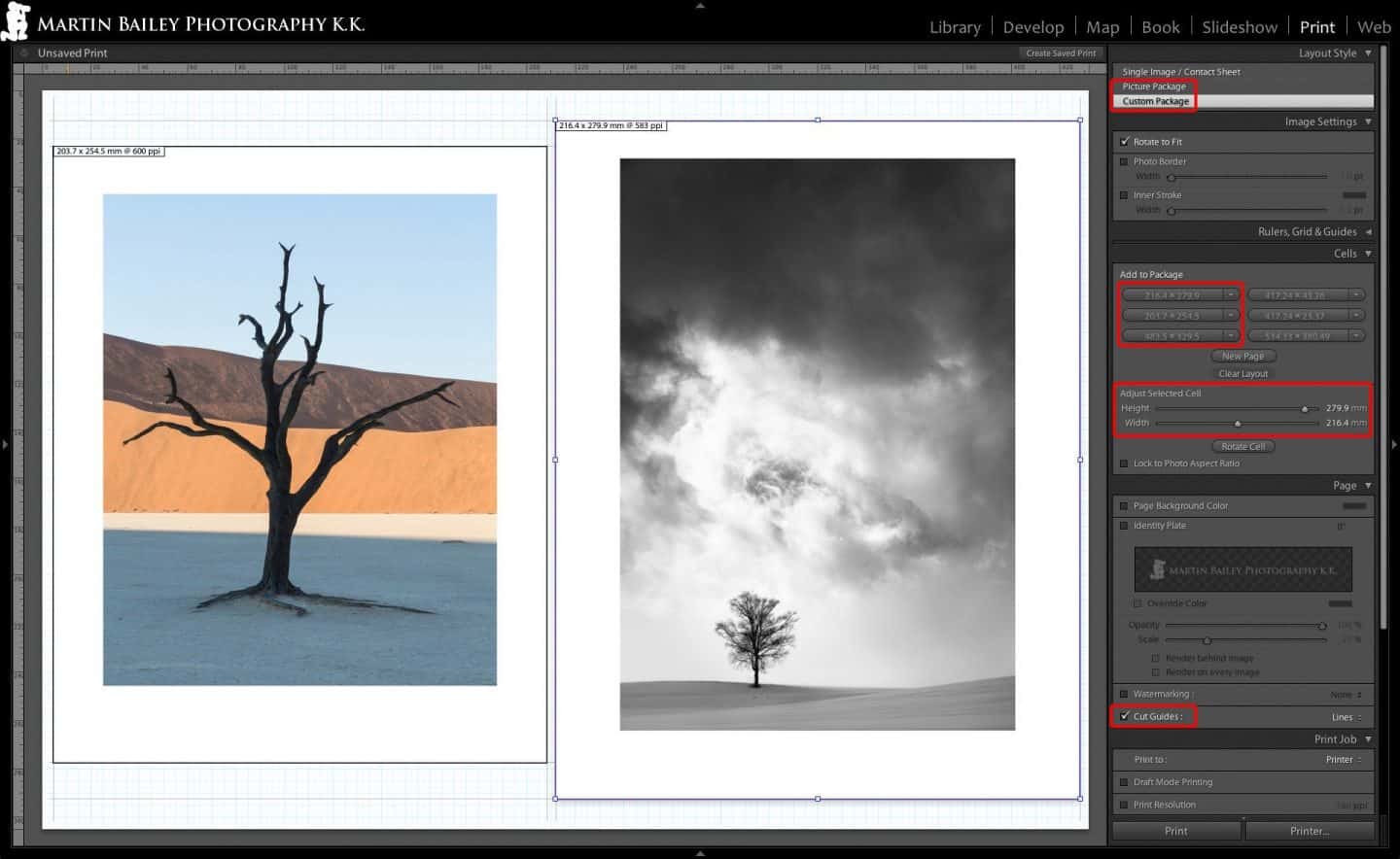 Fine Art Print Border Scripts for Print Preparation | Martin Bailey ...