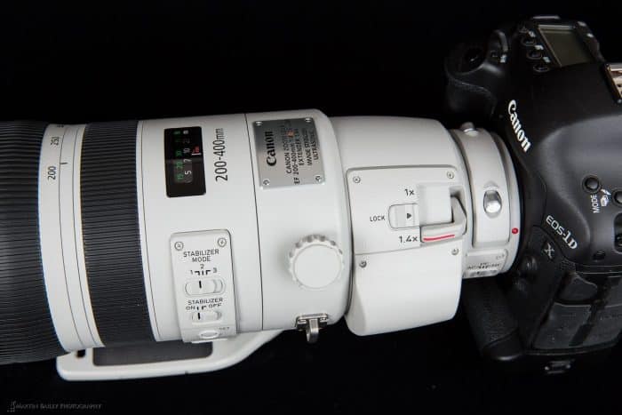 Canon EF 200-400mm F4 L EXT 1.4X Lens Review (Podcast 414) | Martin ...