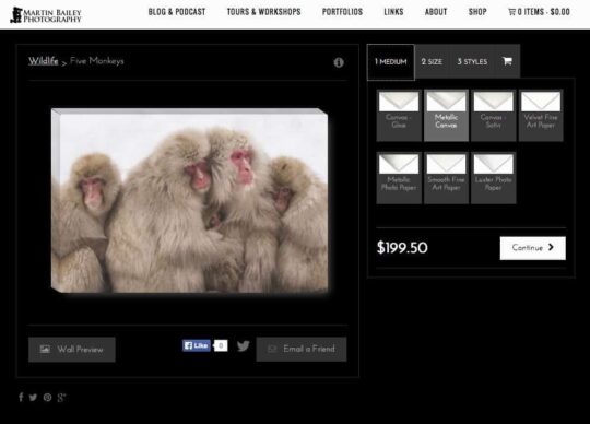 Selling Fine Art Prints with Art Storefronts (Podcast 428) - Martin ...