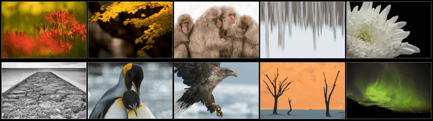 MBP_Free_Wallpaper1-9.png | Martin Bailey Photography