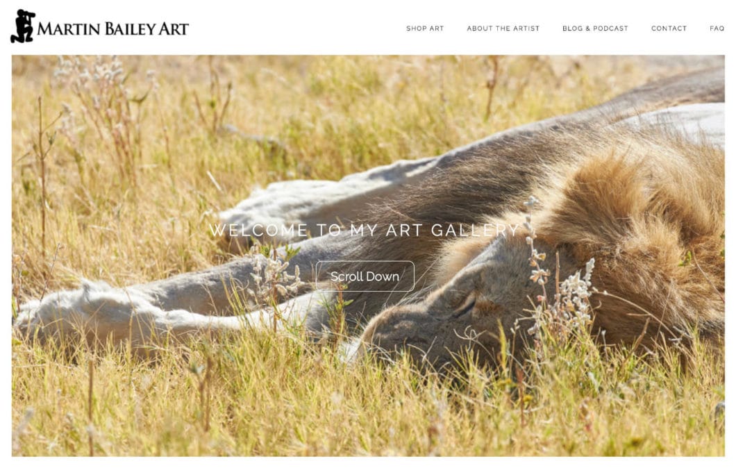 Martin_Bailey_Art_Gallery_Screenshot | Martin Bailey Photography