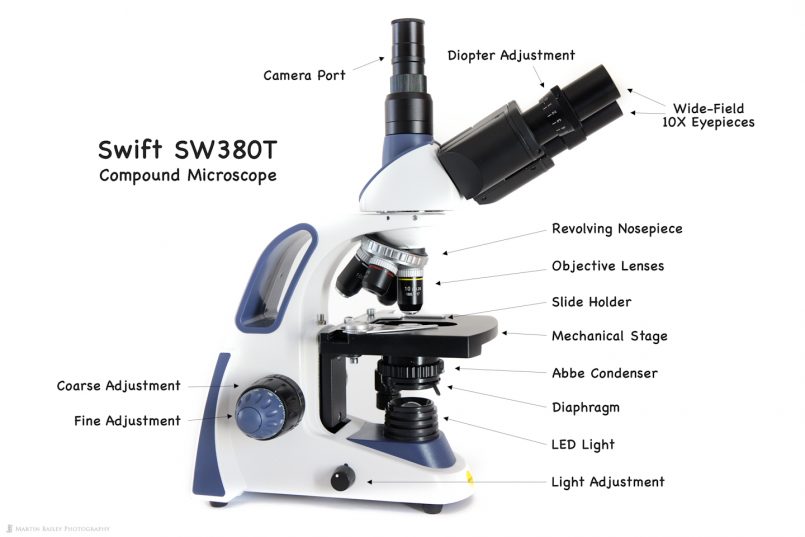 Types of Microscope | Martin Bailey Photography